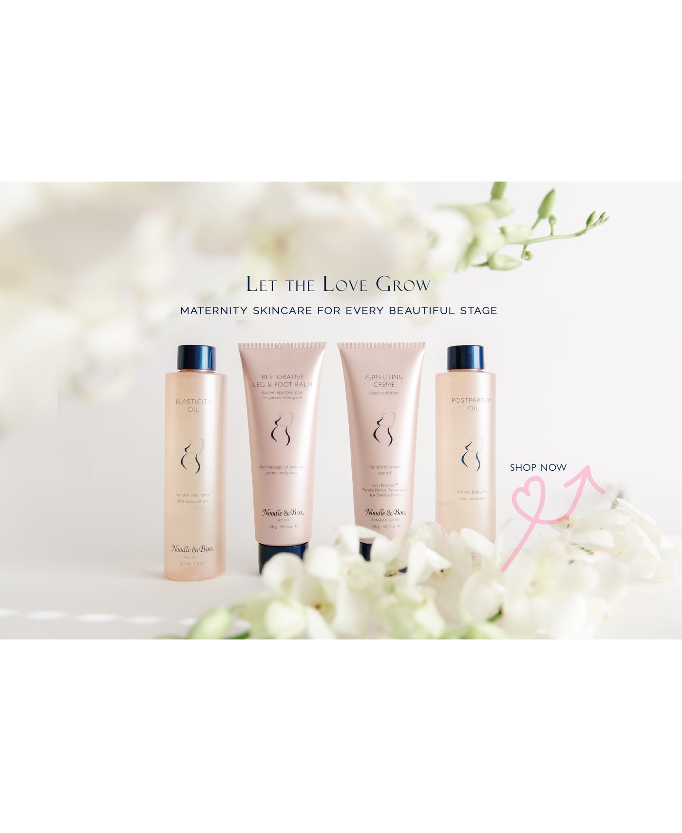 Natural Maternity and Baby Skin Care for Sensitive Skin - Noodle & Boo